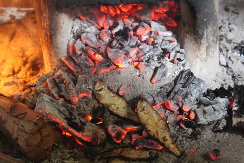 Pescados y fuego foto de archivo. Imagen de rojo, comunidad - 125170060