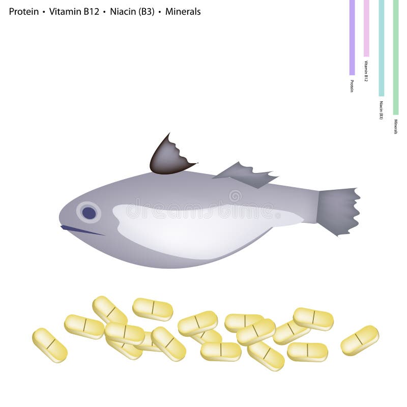 Pesce Con Proteina, Vitamina B12, Niacina O B3 E Minerali Illustrazione ...