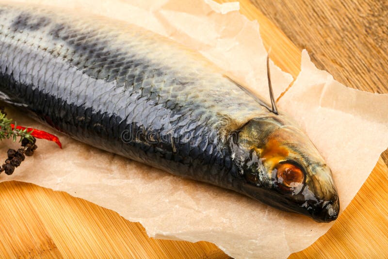 Pesce dell'aringa fotografia stock. Immagine di piastra - 112179134