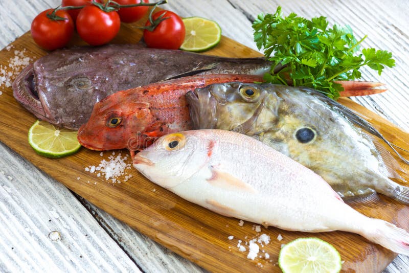 Pesce di mare fresco immagine stock. Immagine di italia - 62059559