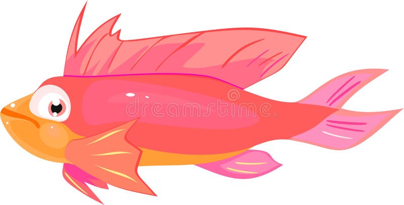Pesce di mare rosa illustrazione vettoriale. Illustrazione di natura ...