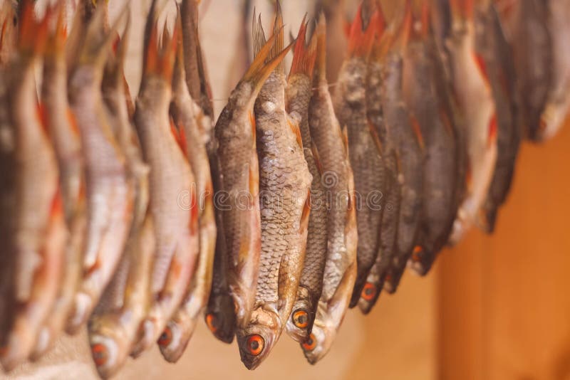 Pesce essiccato al sole immagine stock. Immagine di animale - 95238087