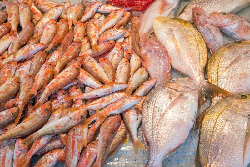 Pesce Fresco Ad Un Mercato a Palermo Fotografia Stock - Immagine di ...