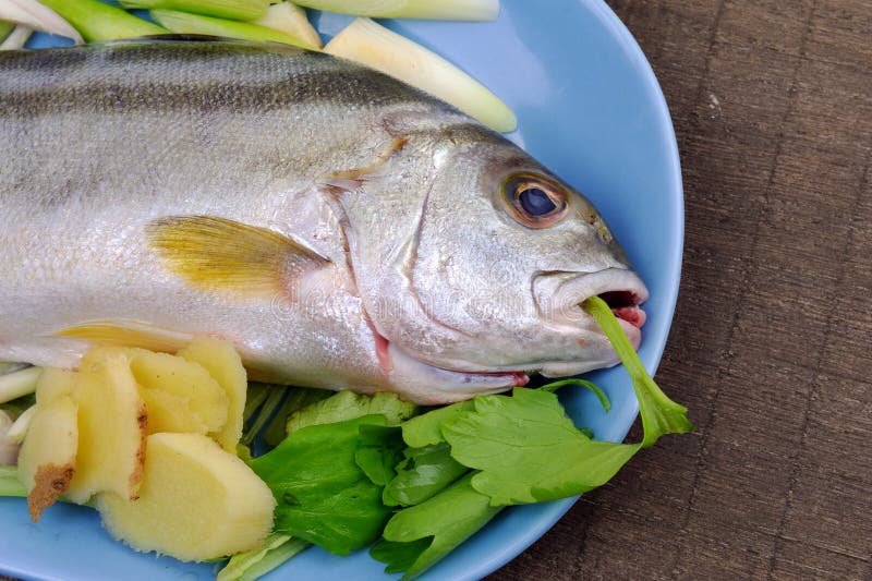 Pesce nel piatto fotografia stock. Immagine di ingorgo - 23252568