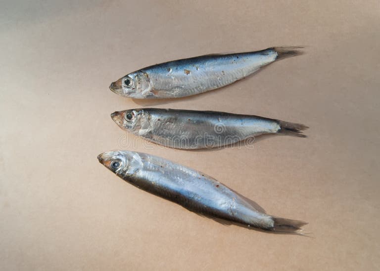 Pesce-spratto fotografia stock. Immagine di pesci, spratto - 86540300