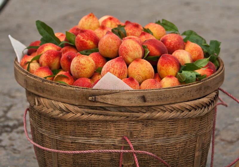 Pesche immagine stock. Immagine di sano, agricoltura - 19210233
