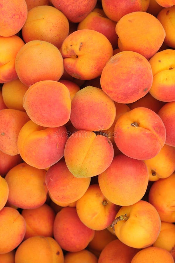 Pesche immagine stock. Immagine di alimento, crescere - 23314569