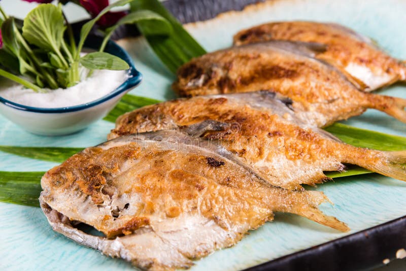 Pesci castagna del ferro fotografia stock. Immagine di servitù - 67340084