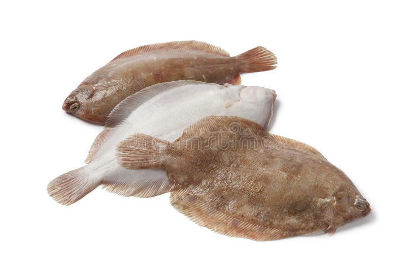 Pesci della limanda immagine stock. Immagine di intero - 34829127