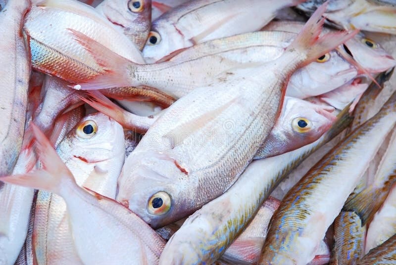 Pesci di alimento immagine stock. Immagine di interferito - 14298277