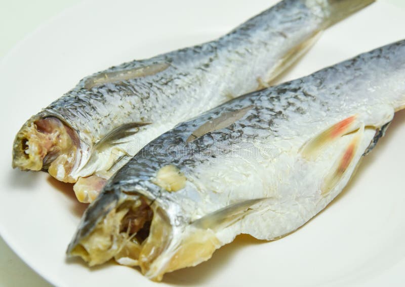 Pesci salati delle aringhe immagine stock. Immagine di verde - 94020169
