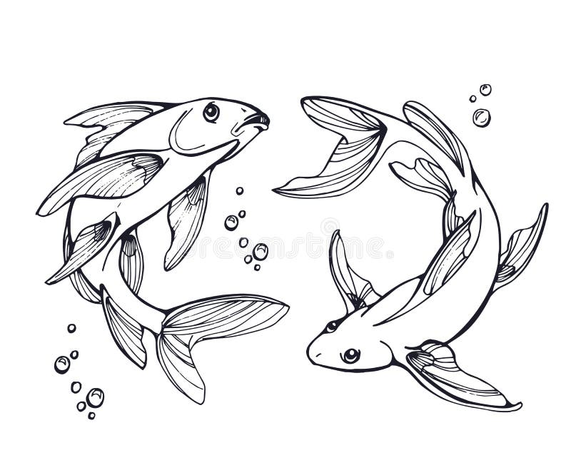 Pesci stilizzati illustrazione vettoriale. Illustrazione di riga - 88840938