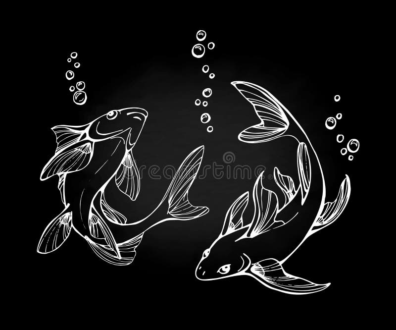 Pesci stilizzati illustrazione vettoriale. Illustrazione di riga - 88840938