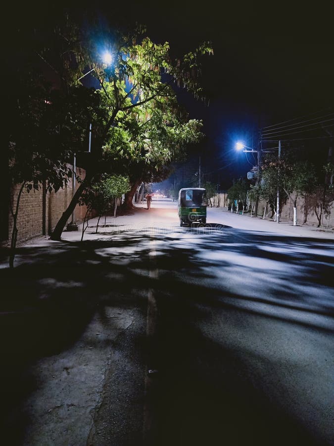 Flowers Peshawar Stock Photos - Free & Royalty-Free Stock Photos from ...