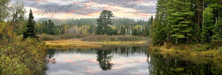 Peshekee River stock photo. Image of birds, riper, serenity - 9276974