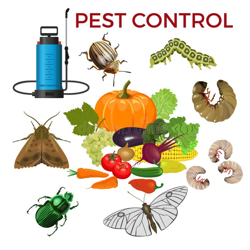 Various Pests Stock Illustrations – 51 Various Pests Stock ...