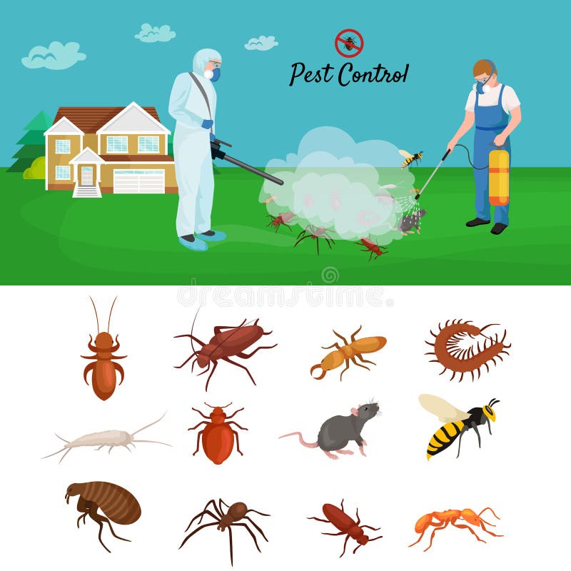 Pest Control Concept with Insects Exterminator Silhouette Flat Vector ...