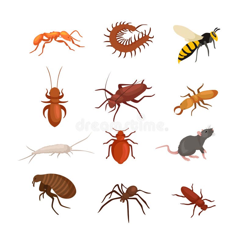Pest Control Concept with Insects Exterminator Silhouette Flat Vector ...