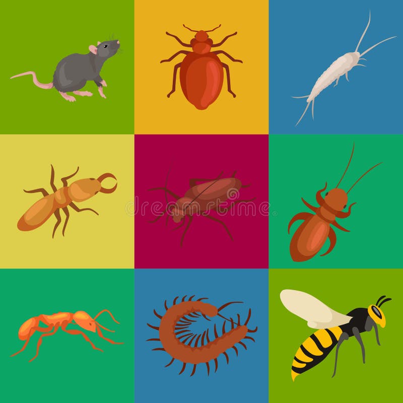 Pest Control Concept with Insects Exterminator Silhouette Flat Vector ...
