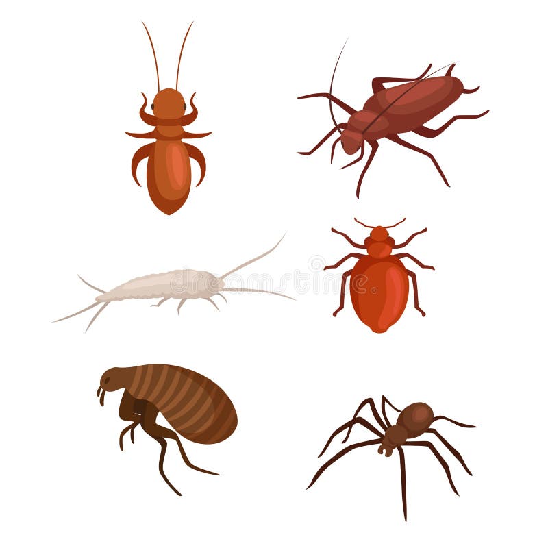 Pest Control Concept with Insects Exterminator Silhouette Flat Vector ...