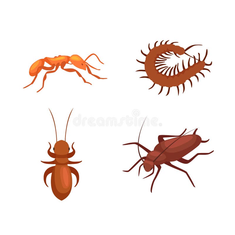 Pest Control Concept with Insects Exterminator Silhouette Flat Vector ...