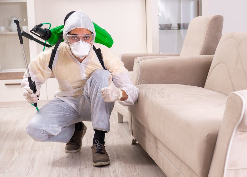 Pest Control Contractor Working in the Flat Stock Image - Image of ...