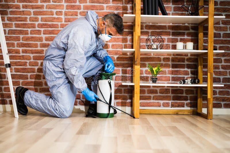 Pest Control Exterminator Services Spraying Insecticide Stock Photo ...