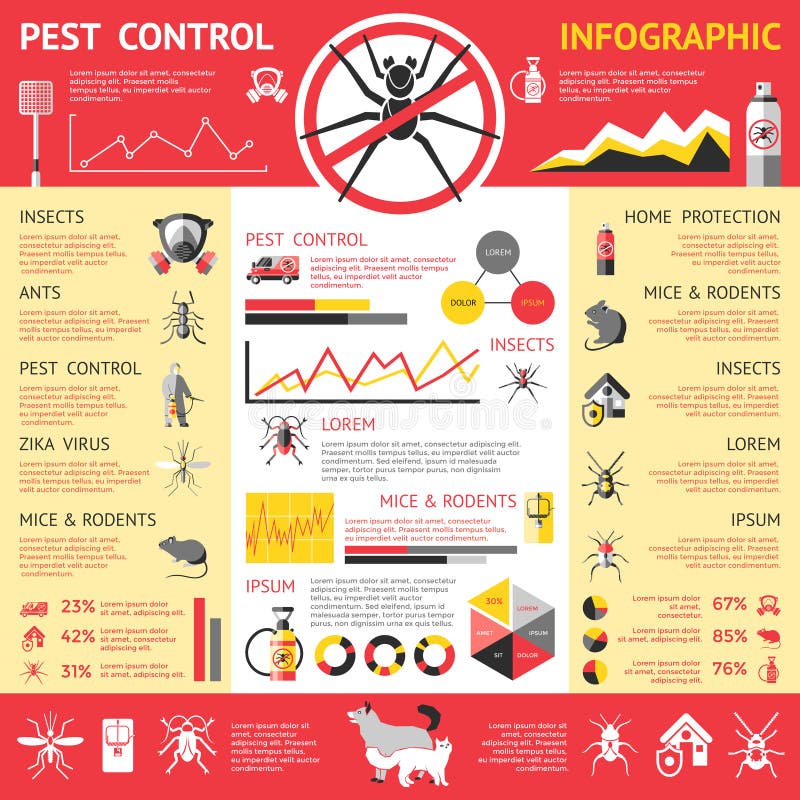 Pest Control Infographics stock vector. Illustration of insect - 72312028