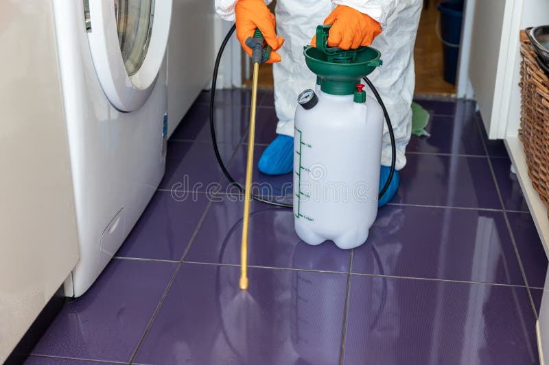 Pest Control in the Kitchen Stock Image - Image of insecticide, work ...