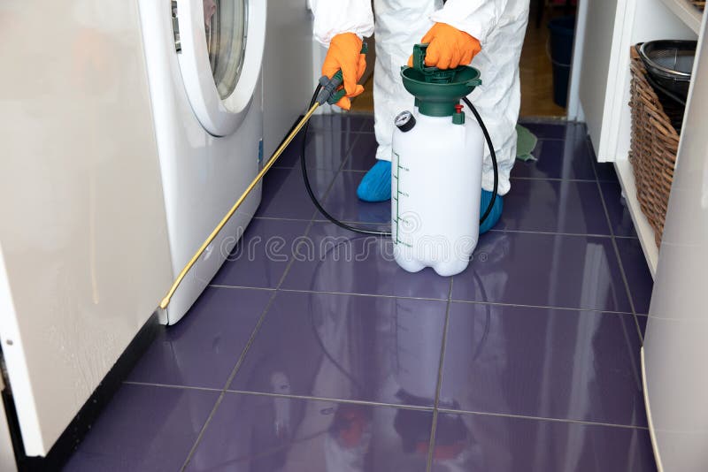 Pest Control in the Kitchen Stock Photo - Image of decontamination ...