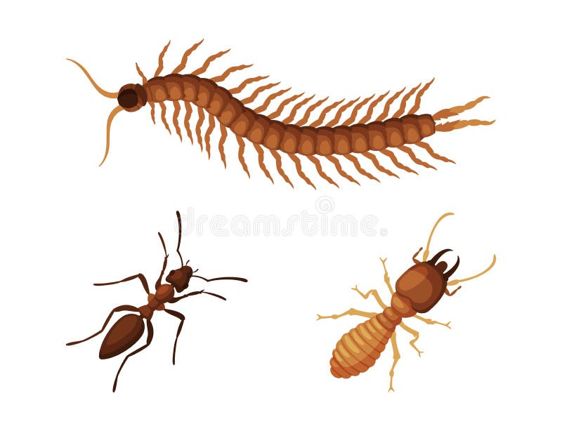 Destructive Insect Killing Stock Illustrations – 5 Destructive Insect ...