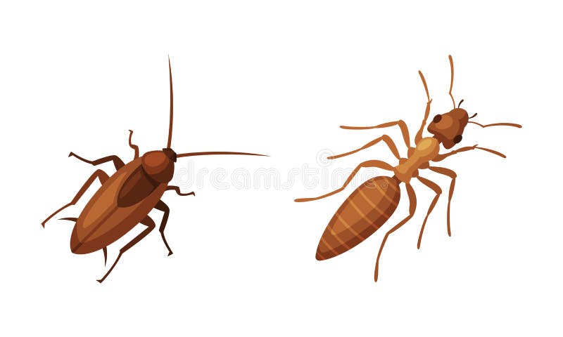 Destructive Insect Killing Stock Illustrations – 5 Destructive Insect ...