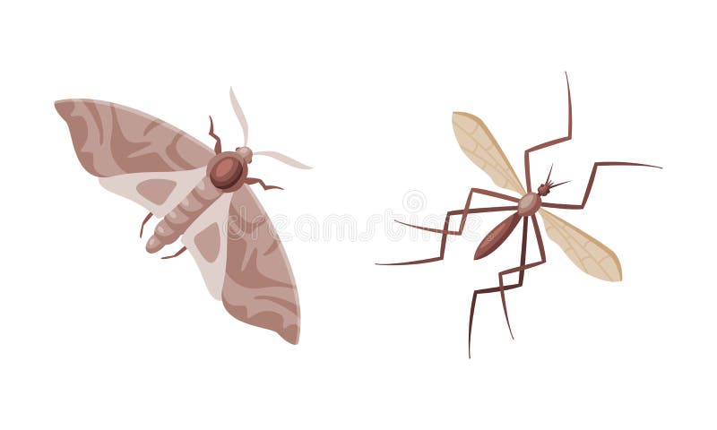 Destructive Insect Killing Stock Illustrations – 5 Destructive Insect ...