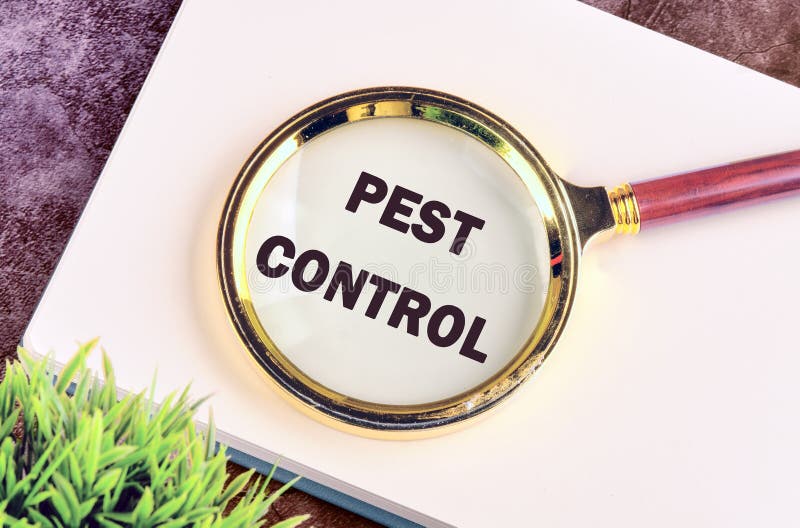 Book PEST analysis. stock photo. Image of market, success - 99672700