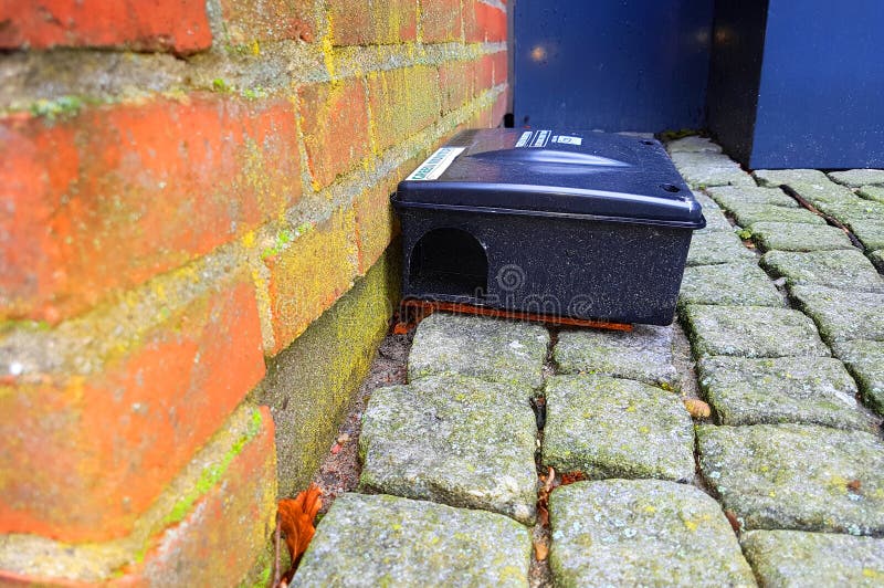Rat Trap Placed Outside a Store Stock Image - Image of mice, store ...