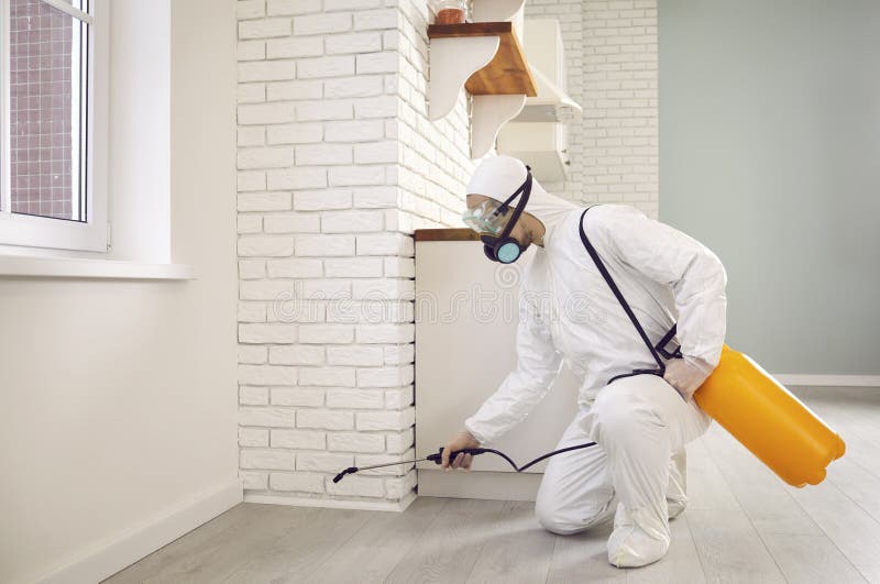 Pest Control Worker in Protective Suit Spraying Cockroach Insecticide ...