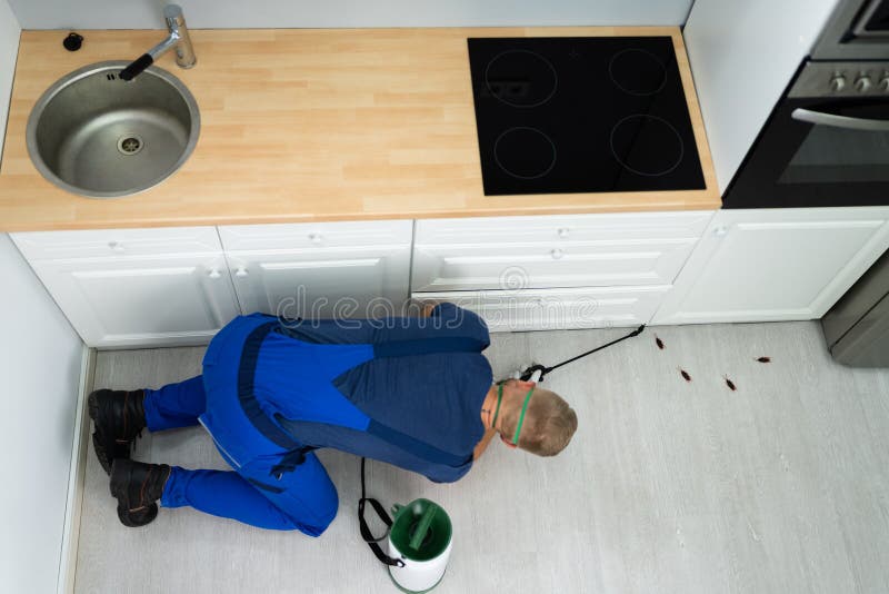 Pest Control Worker Spraying Insecticide Stock Photo - Image of ...