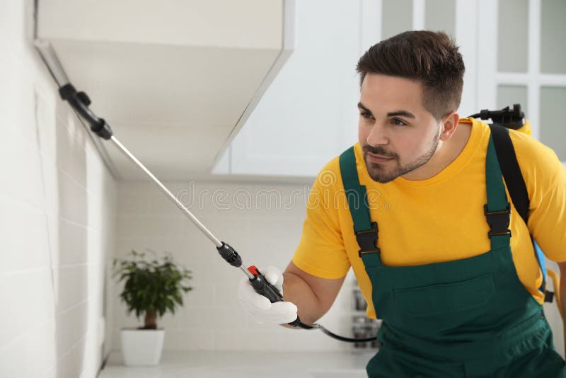 Pest Control Worker Spraying Insecticide on Furniture Stock Photo ...