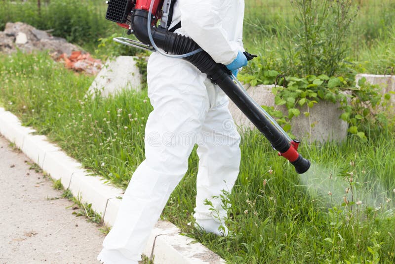 Spraying Insects- Pest Control Stock Photo - Image of branch, sprayer ...