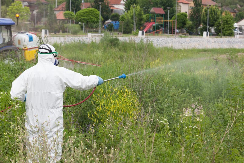Spraying Insects- Pest Control Stock Photo - Image of branch, sprayer ...
