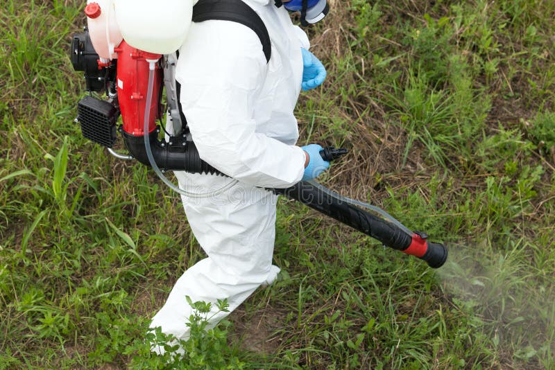 Pest Control Worker Spraying Insecticide Stock Image - Image of insects ...