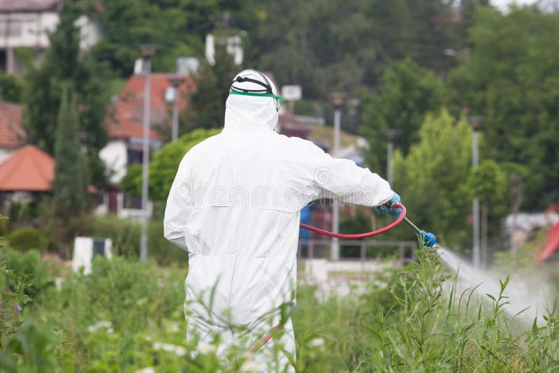 Spraying Insects- Pest Control Stock Photo - Image of branch, sprayer ...