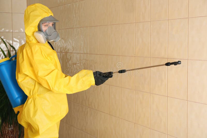 Pest Control Worker Spraying Pesticide on Wall Stock Image - Image of ...