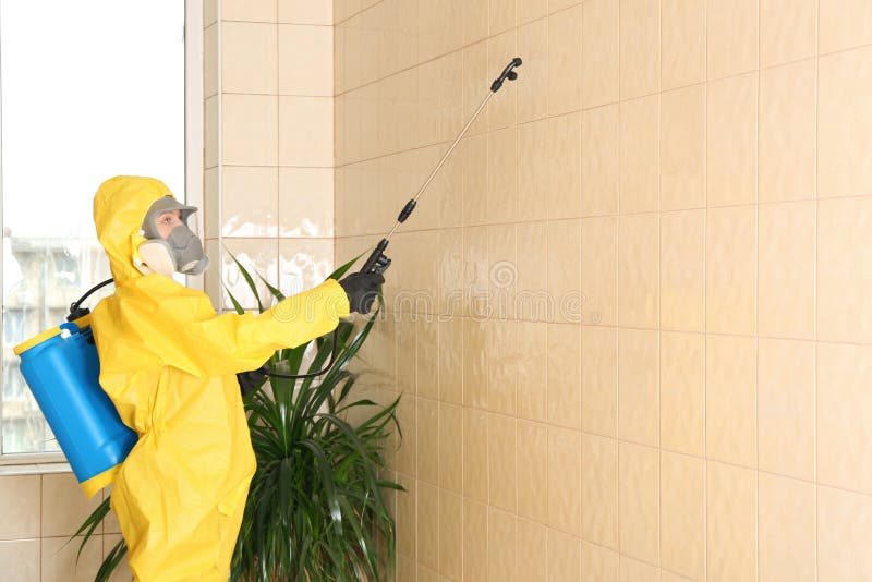 Pest Control Worker Spraying Pesticide on Wall. Space for Text Stock ...