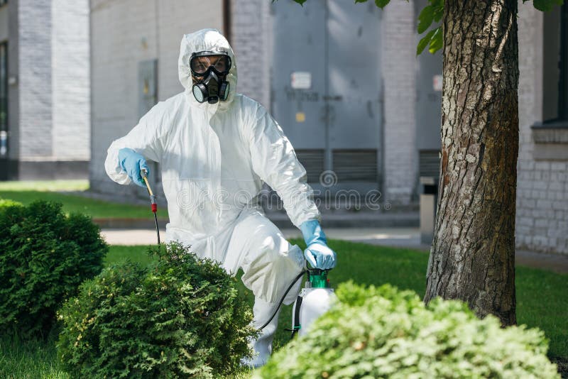 Pest Control Worker Spraying Pesticides Under Cabinet Stock Photo ...