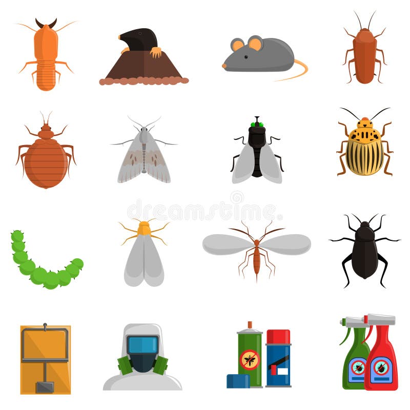 Pest Icons Set stock vector. Illustration of elements - 62996558