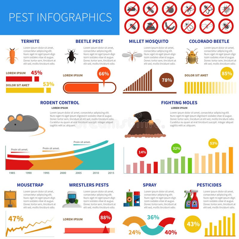 Insects Infographic Set stock vector. Illustration of grasshopper ...