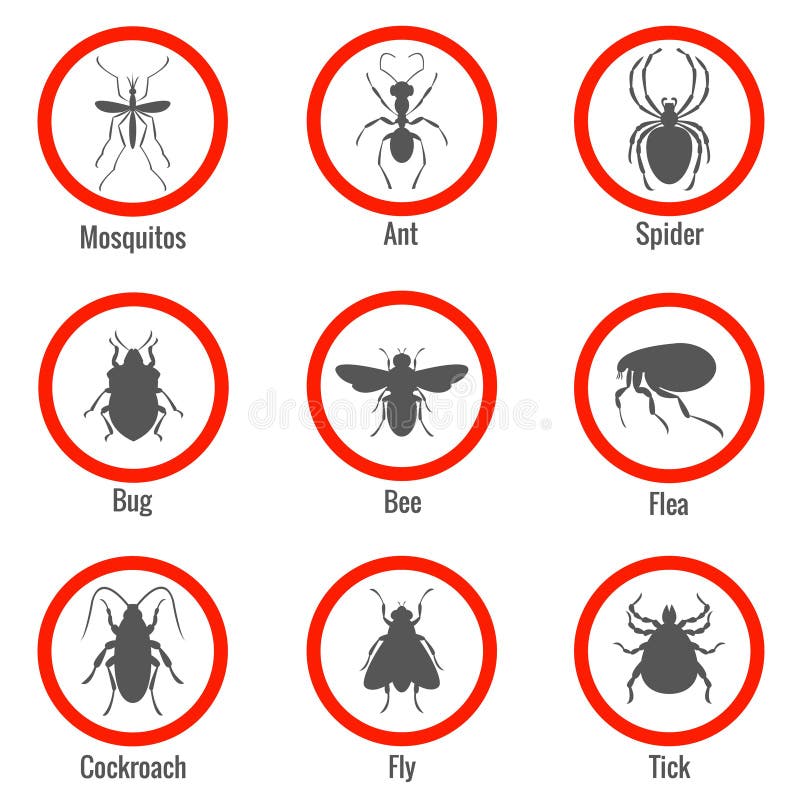 Pest and Insect Control, Vector Icons Set Stock Vector - Illustration ...