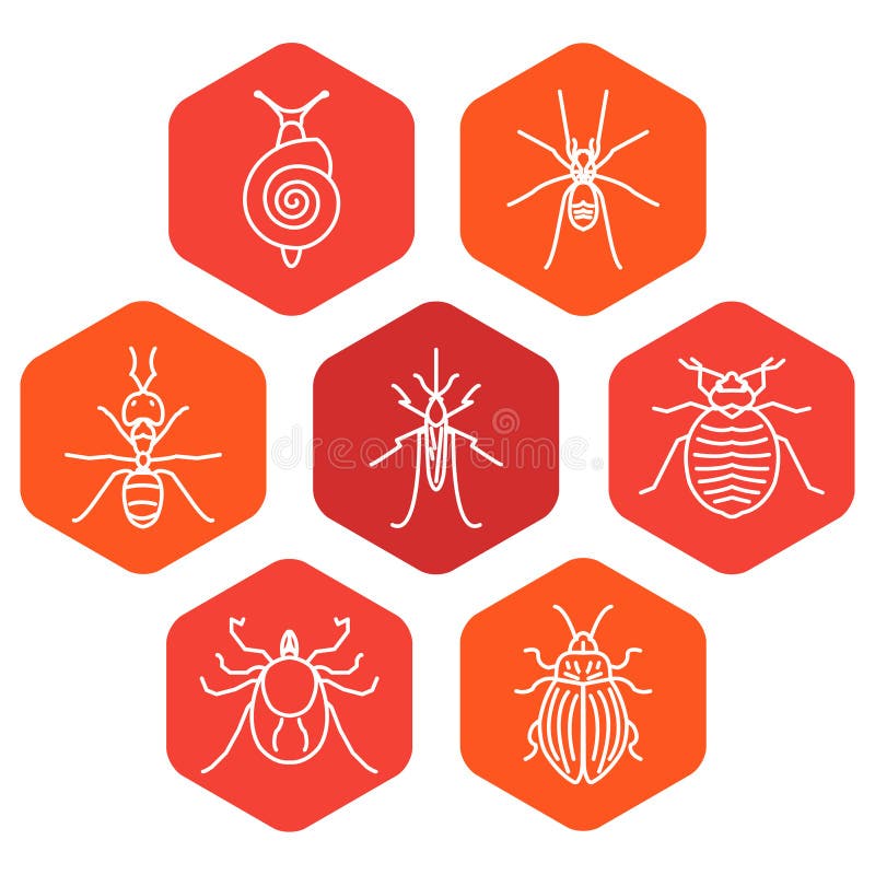 Hexagon Spider Stock Illustrations – 351 Hexagon Spider Stock ...