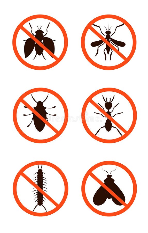 Exterminator Killing Bug And Holding Pest Sprayer Stock Vector ...